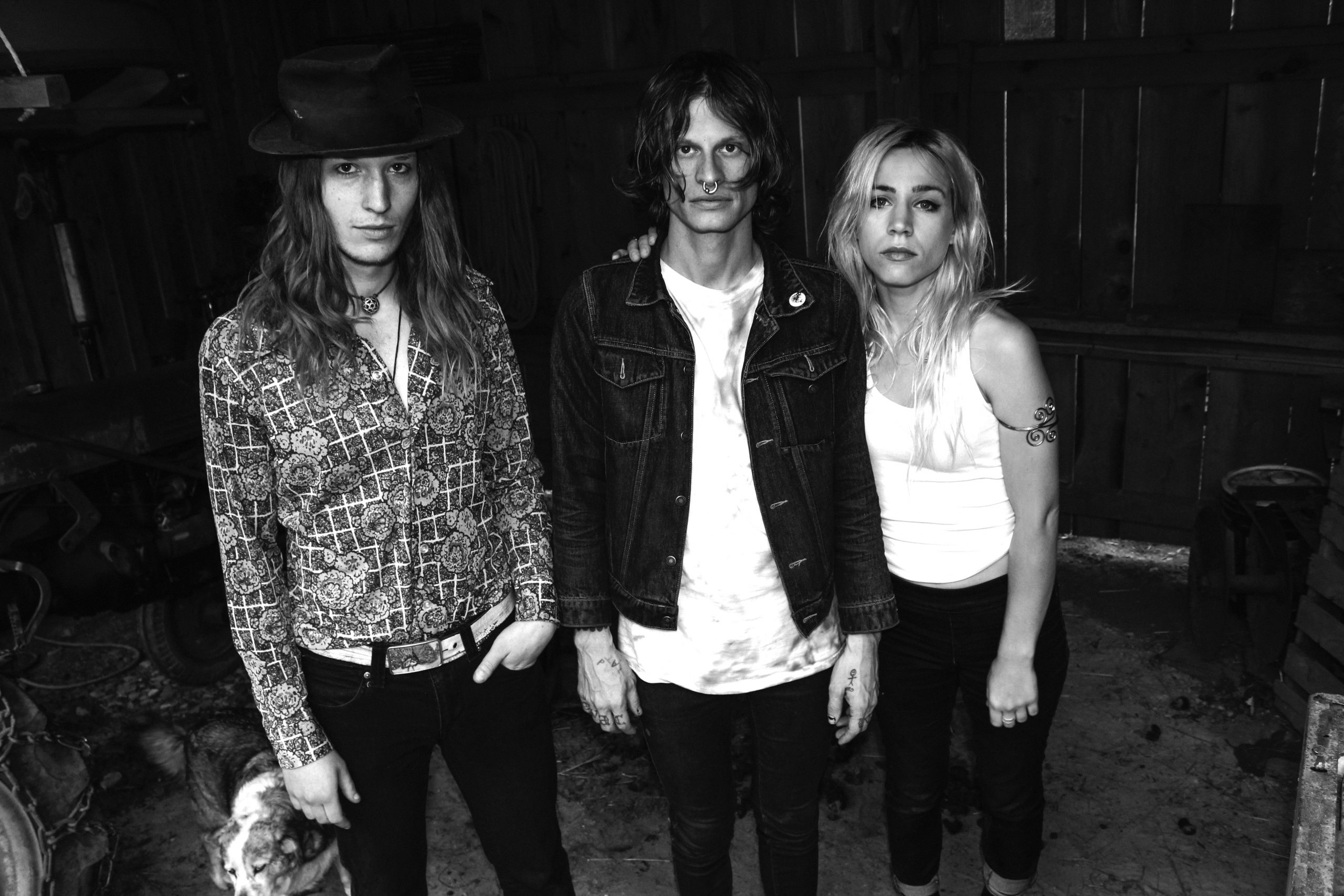 Song Premiere: Sara Rachele + The Skintights, "You're Not A Rebel, Your ...