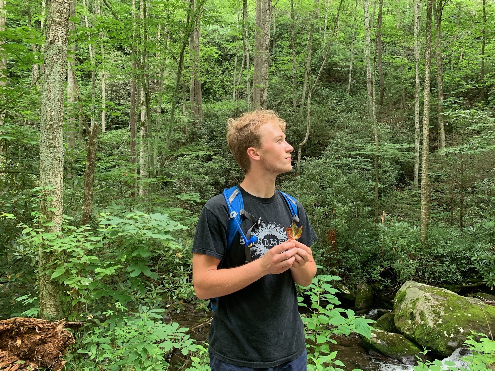 Years In The Making | An Interview With Nathaniel Reed of Nanl ...